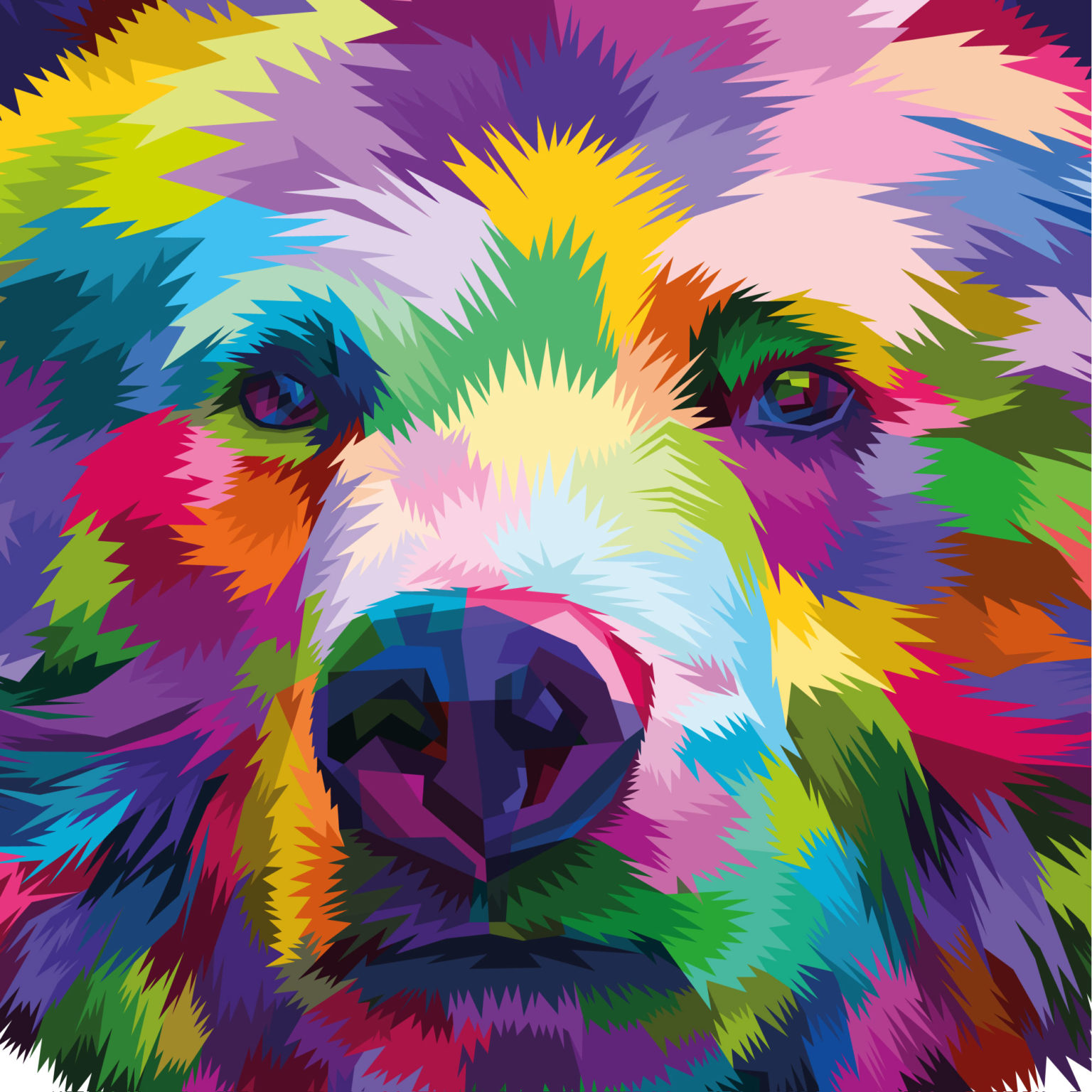 COLORFUL 11 - ONIKA